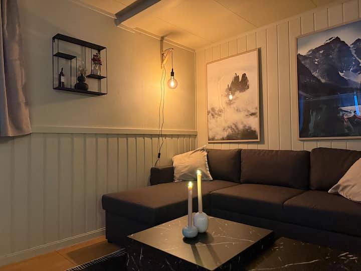 2-roms Sokkelleilighet - 