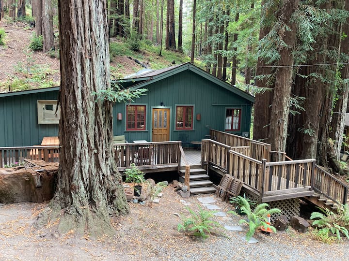 Historic Cabin Redwood Forest Near Pescadero - Pescadero, CA
