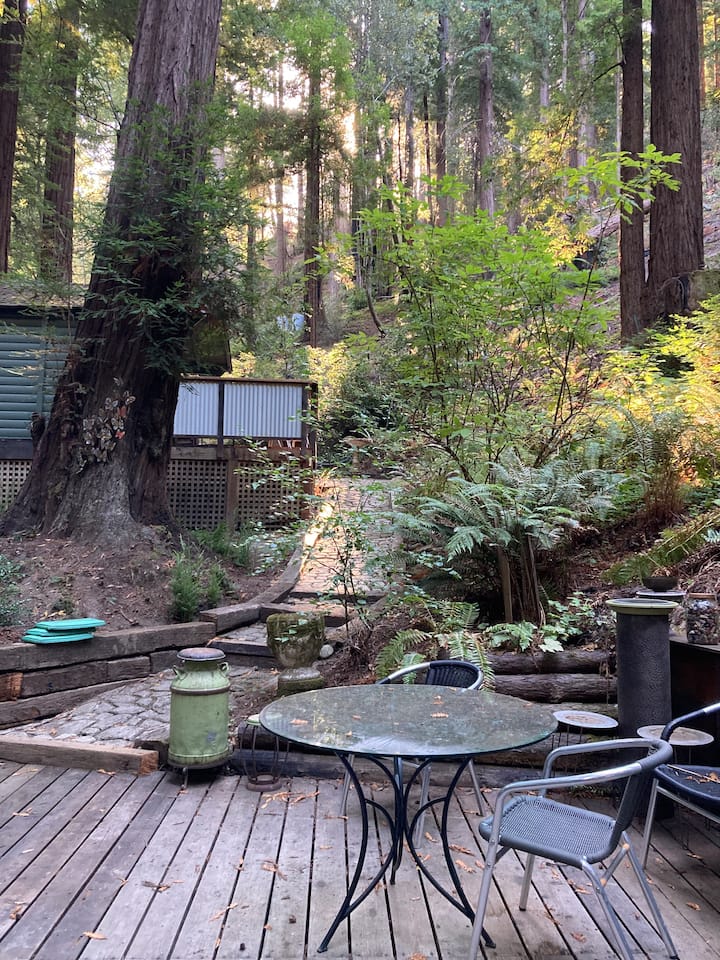 Historic Cabin Redwood Forest Near Pescadero - Pescadero, CA