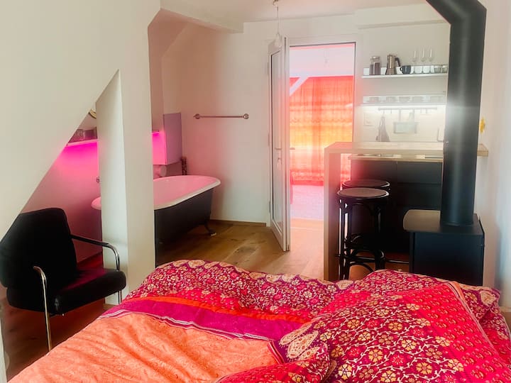 Romantische 1 Zimmer & Wintergarten - Neuchâtel