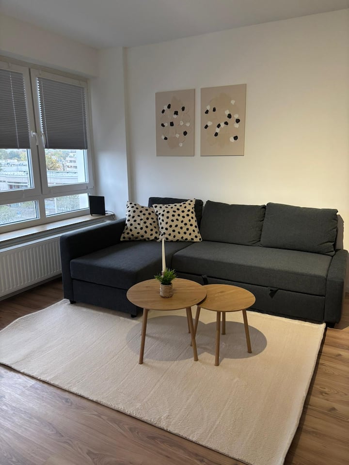 Zentrale Helle 2-zimmer Wohnung Mit Modernem Flair - Salzgitter