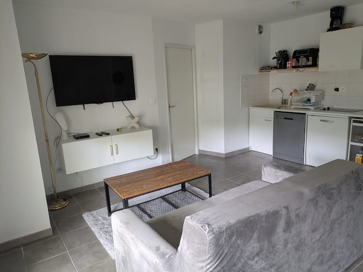 Beau T3 59m² Rez-de-chaussée Proche Toulouse - Tournefeuille