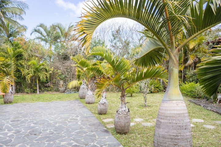Villa Ti Gargoulette - Saint-Joseph