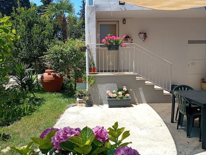 Casa Gelsomino - Posada