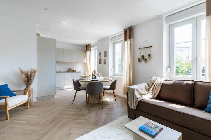 Le Nordique, Calme & Confort Au Coeur De Mulhouse - Mulhouse