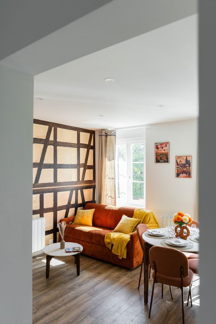 L’alsacien, Charme Typique Au Coeur De Mulhouse - Mulhouse