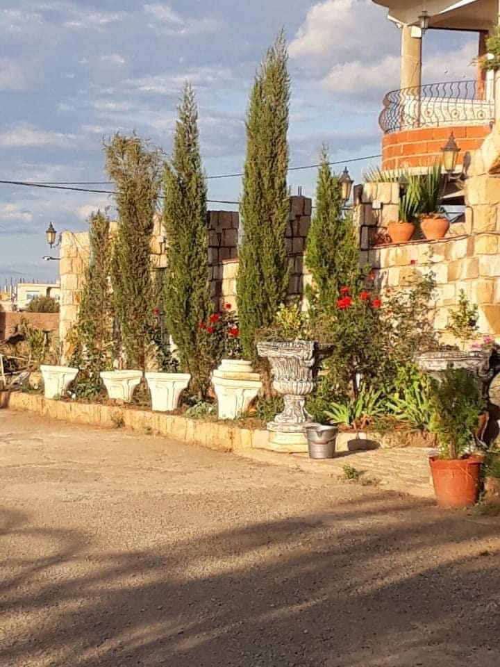 Bungalows - Béjaïa