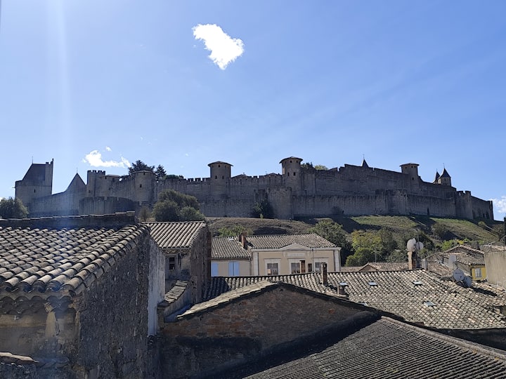 Vue Magnifique Sur Le Château - Carcassonne