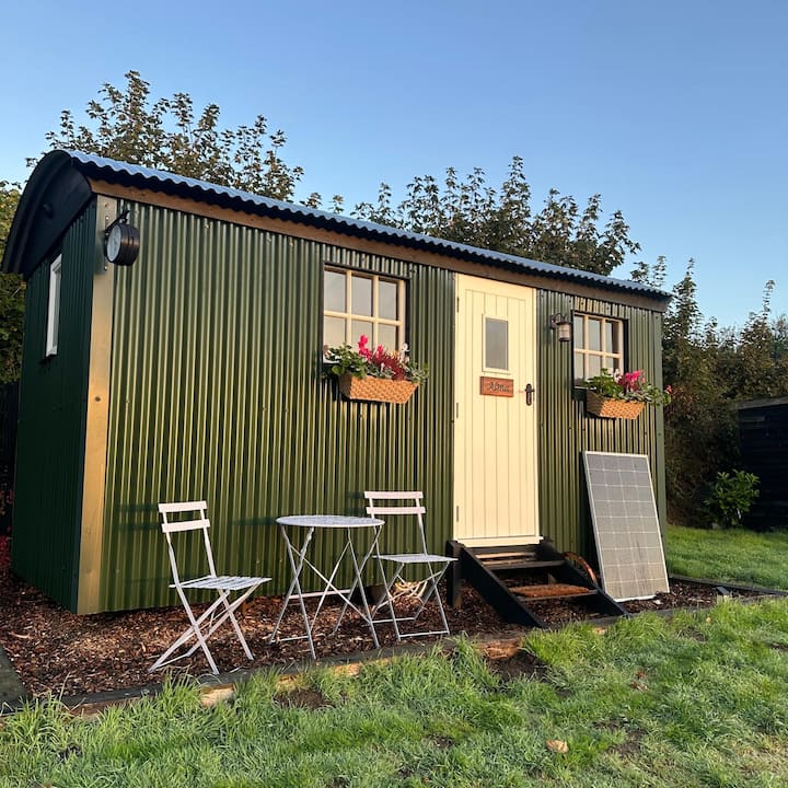Cosy Shepherds Hut With Farmland View - Bodmin