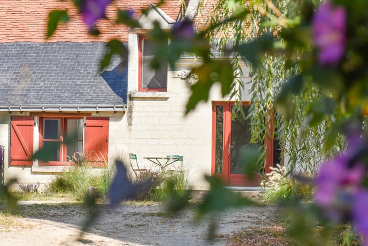 Gîte Chez Les Vignerons / La Maison De Thélème - Chinon