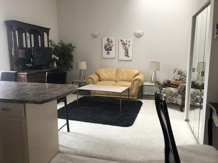 Unique One-bedroom Downtown Apartment - Sarnia