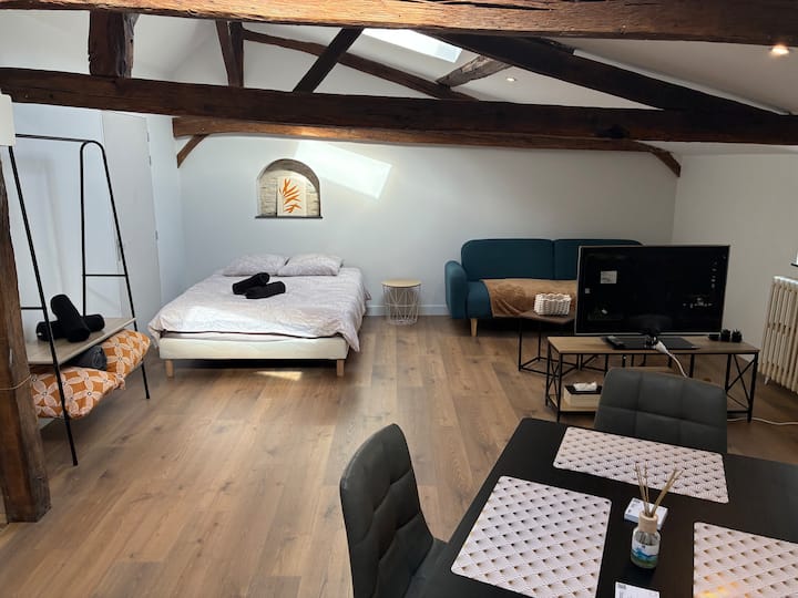 Grand Studio 3 Pers - Lumineux - Proche Centre - Angers