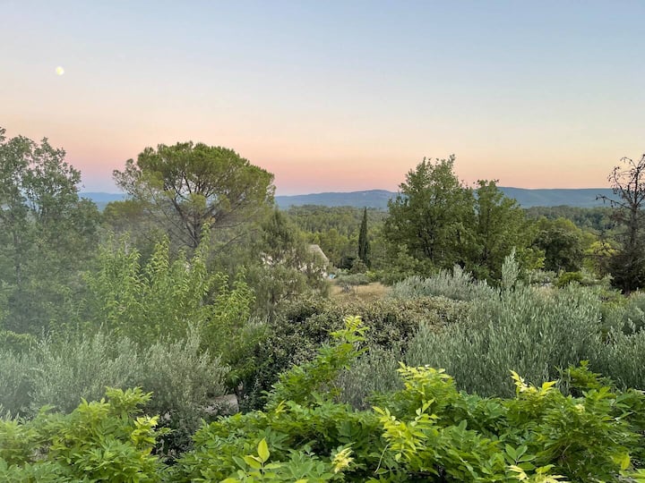 Grande Maison Au Milieu D'une Oliveraie. - Lorgues
