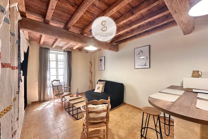"Maison Camargue" Arles Centre - Wifi & Clim - Arles
