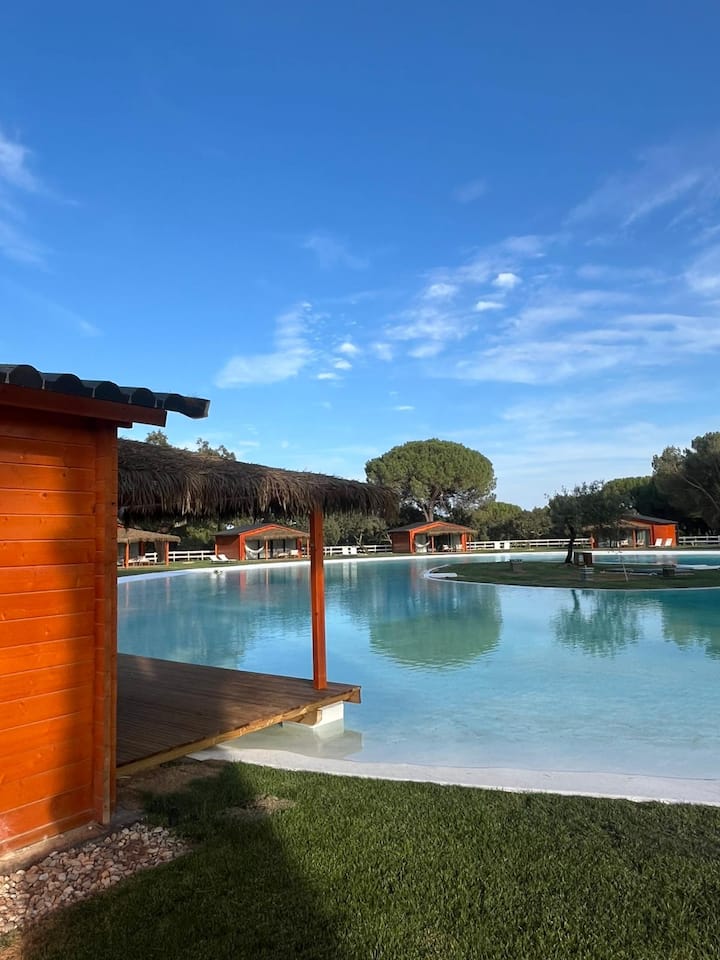 Bungalow Terraço Nova Piscina (Mirtilo) - Montargil