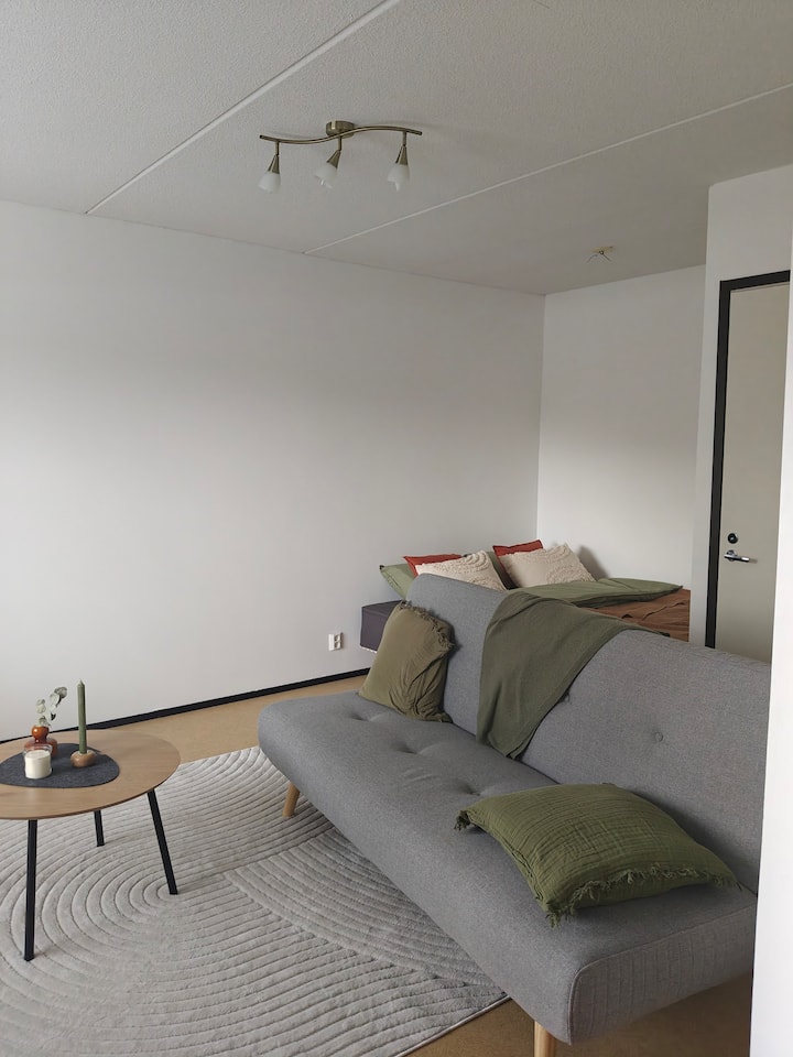 Viihtyisä Yksiö Lähellä Palveluita. - Sonkajärvi