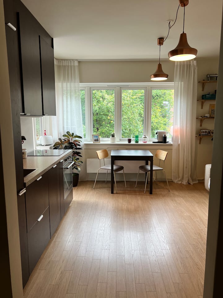 Koselig Liten Leilighet På Rosenhoff - Oslo