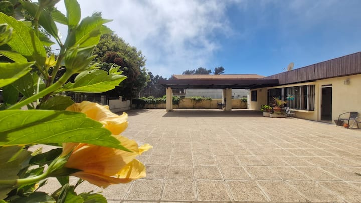 Cabañas A Paso De Acceso A Playa El Canelo - Algarrobo
