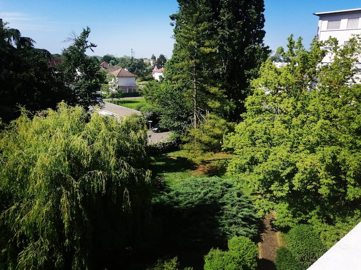 F1 Spacieux, Très Lumineux Avec Vue Sur Parc ! - Mulhouse