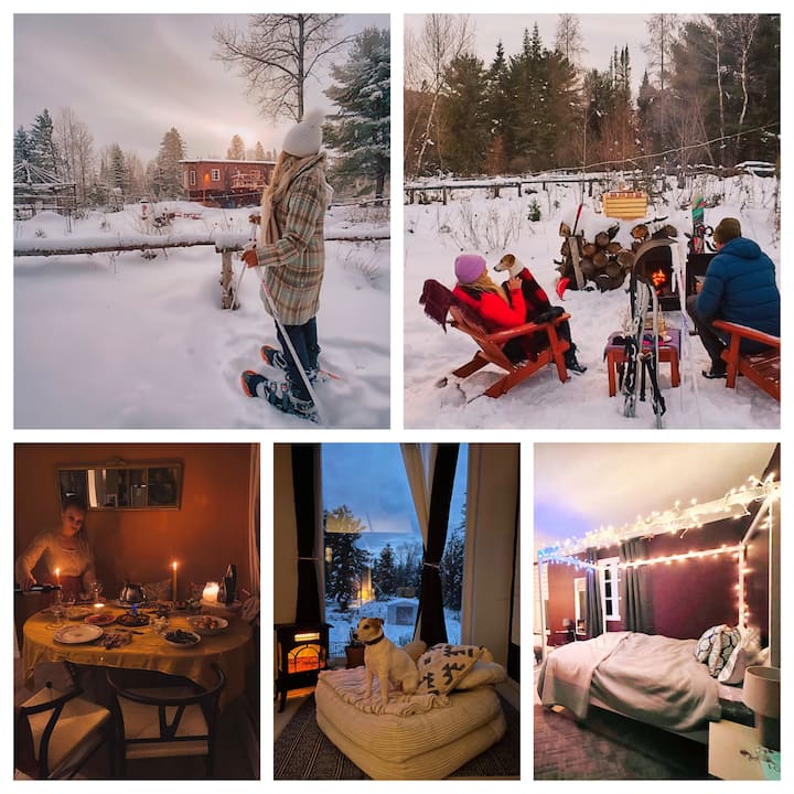 Retraite Stylisée En Forêt +Feu+animaux Bienvenue - Quebec