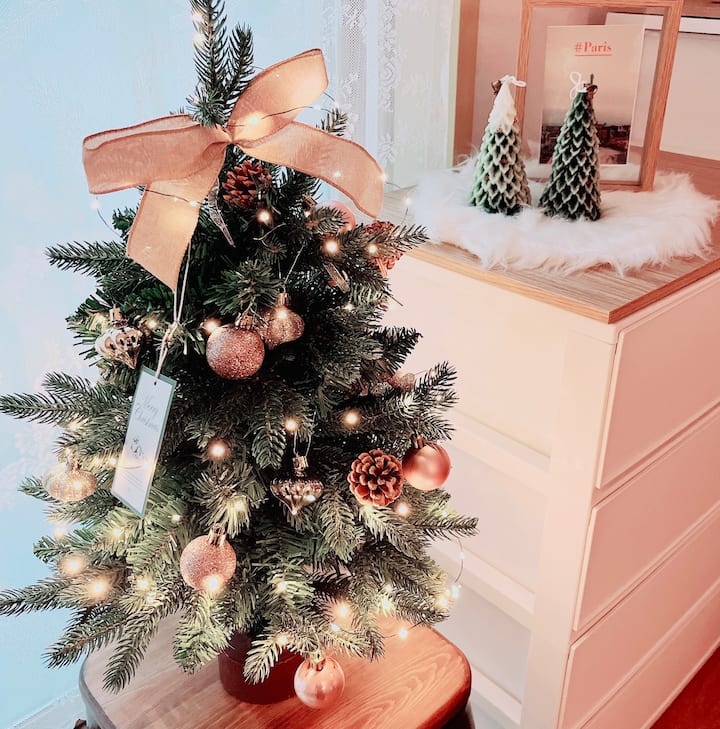 [Wait-대전] 크리스마스성심당롯데도보5분 둔산인근 성심당케익무료짐보관서비스 - Daejeon