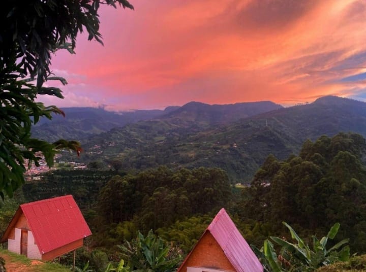 7. Cabaña Alejada Del Ruido De La Ciudad. - Jardín