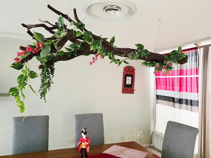 Grandiosa Casa En El Centro - Aguascalientes