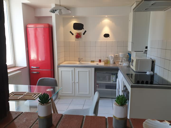 T3/t4 Gien - Idéal Mission Pro - Gien