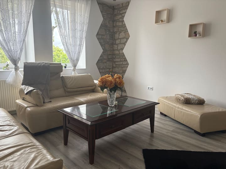 Geräumige Ferienwohnung - Ideal Für Monteure - Staßfurt