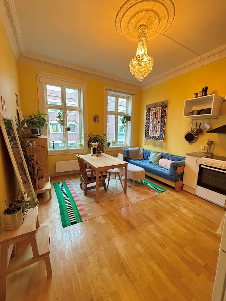 Colourful Space For City Trip! - Oslo