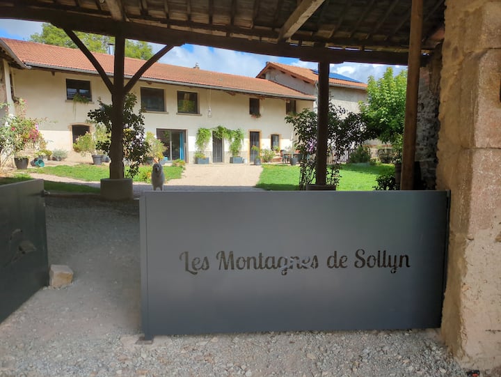 Gite Des Montagnes De Sollyn - Tarare