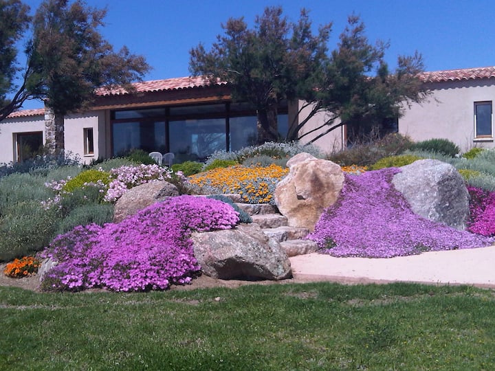 Villa D’architecte Vue Mer Et Jardin Exceptionnels - Lumio