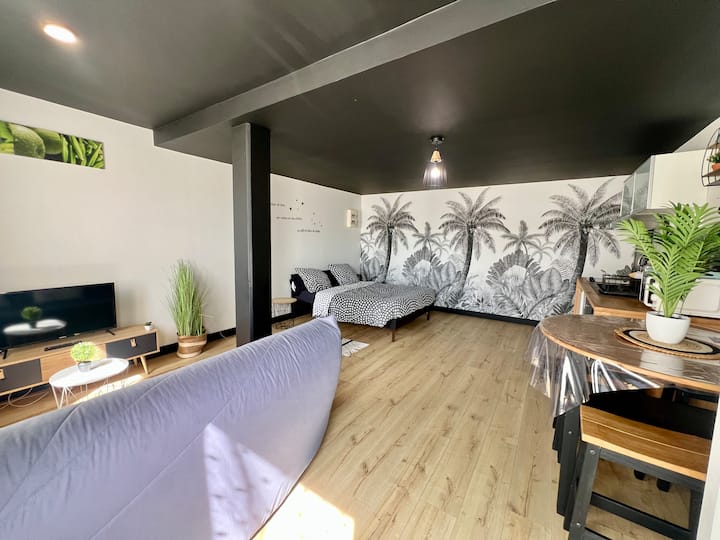 Le Picardie, Studio à 4 Min Du Parc Parking + Wifi - Le PAL