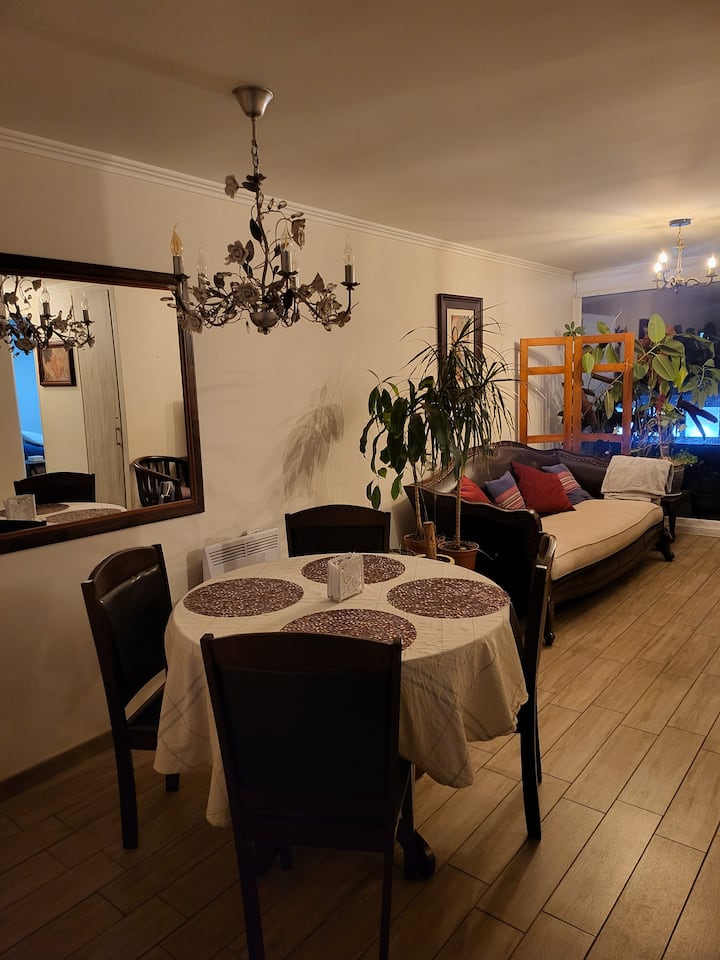 Departamento Clásico, Centrico Y Muy Acogedor - Temuco