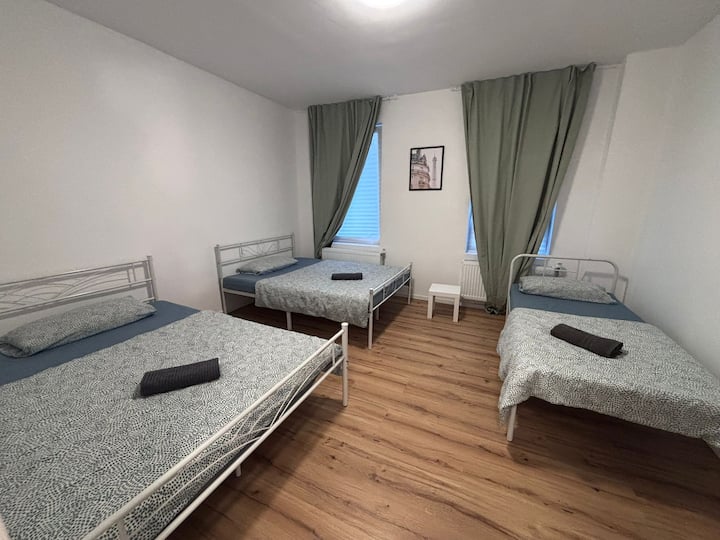 Ariprop Modern Historic Altenburg-6 Guests - Altenburg