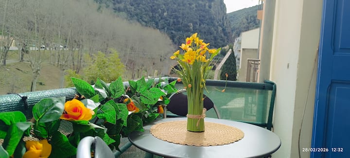 Les Morèses Studio Tout Confort - Amélie-les-Bains-Palalda