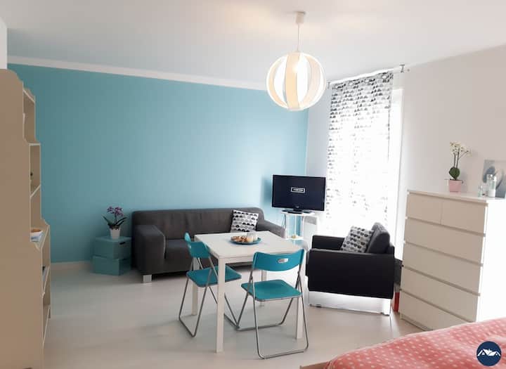 Chic Apartment In The Center Of Ferney-voltaire - Ferney-Voltaire