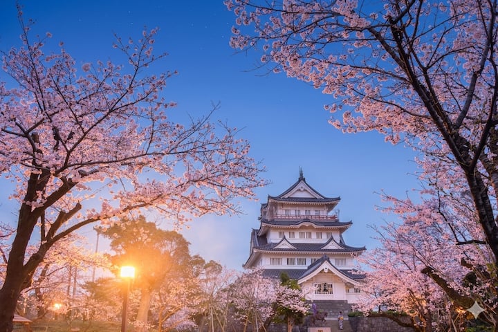 Perfect For Long Stays | Equipped 1dk | To Narita - Chiba