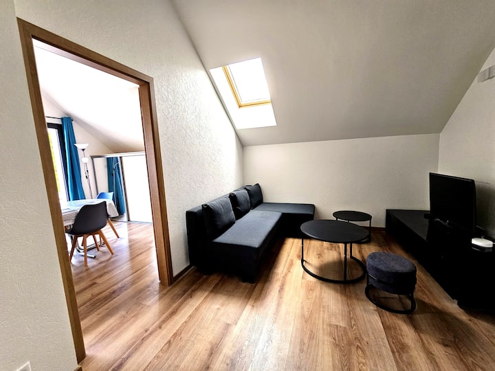 ÉVasion Chic à Hésingue Aux Portes De 3 Pays - Blotzheim