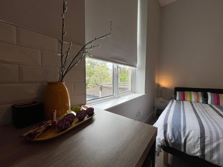 Lury's Studio Apartment - Dublin