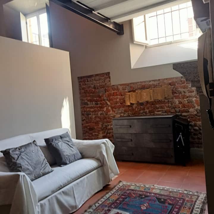 Reggia Di Re Alboino - Pavie