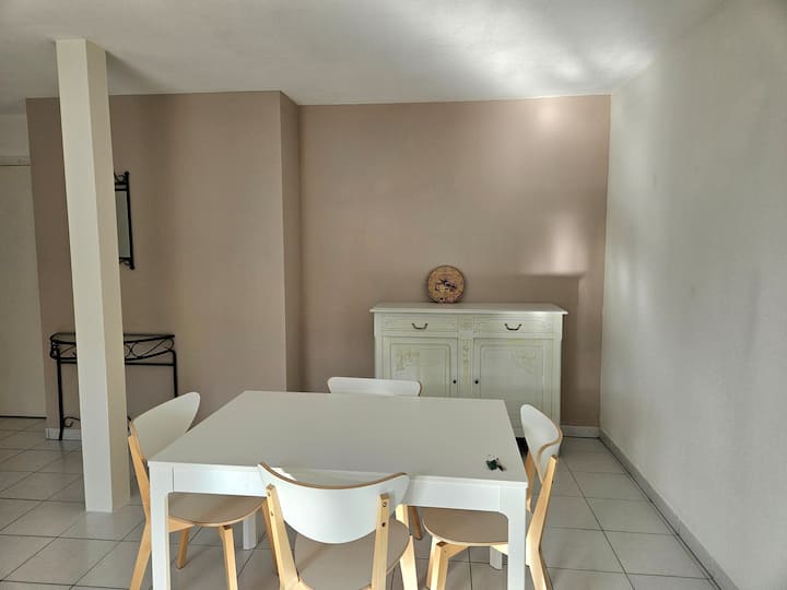 Appartement Lumineux Avec Terrasse Proche Centre - Salies-de-Béarn