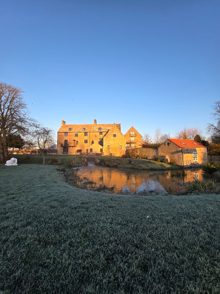 Mr. Molecey's Marvellous Mill - Stamford