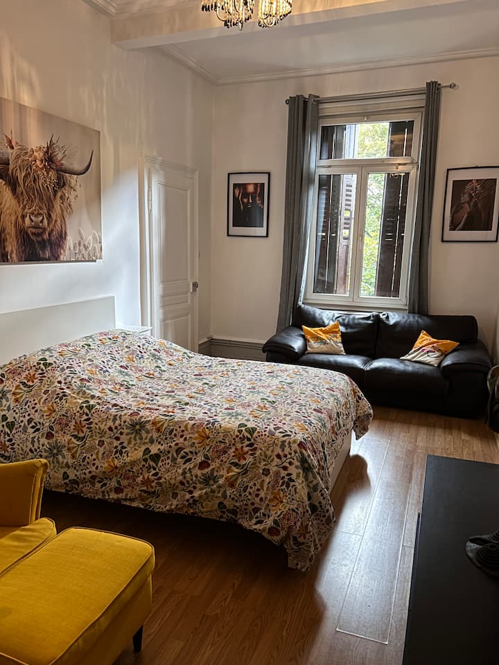 Superbe Suite Orangerie - Strasbourg