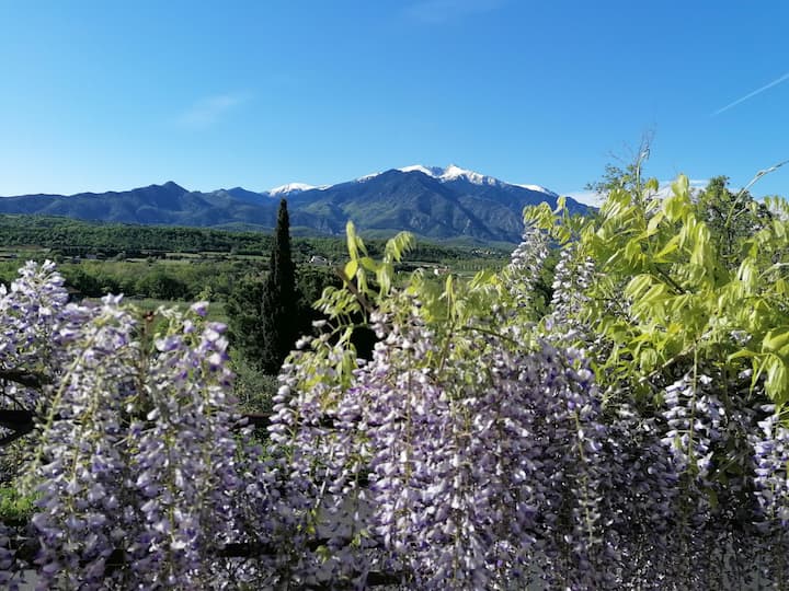 Chambres à Louer Dans La Maison Du Bonheur - Prades, France
