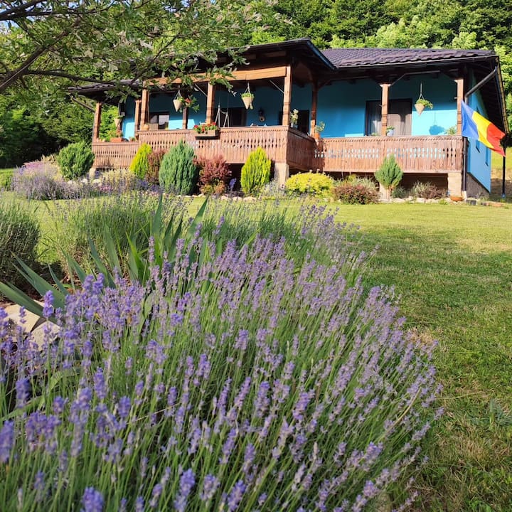 O Căsuță Cochetă Cu Iz Tradițional șI Mult Verde. - Județul Cluj