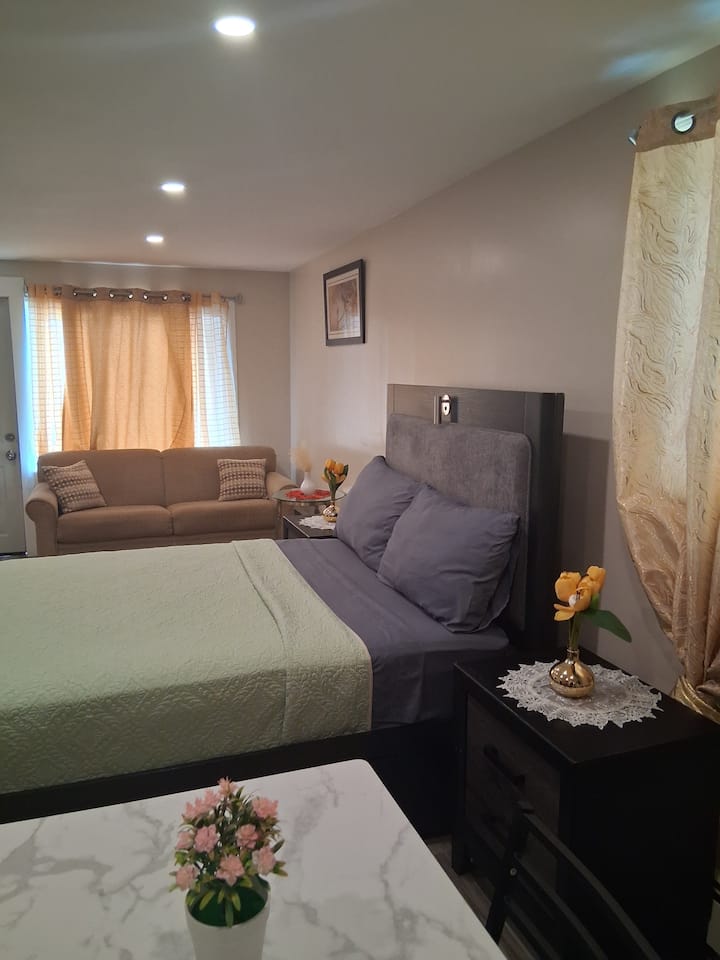 Spacious Beautiful Studio - Brookville - Queens NY