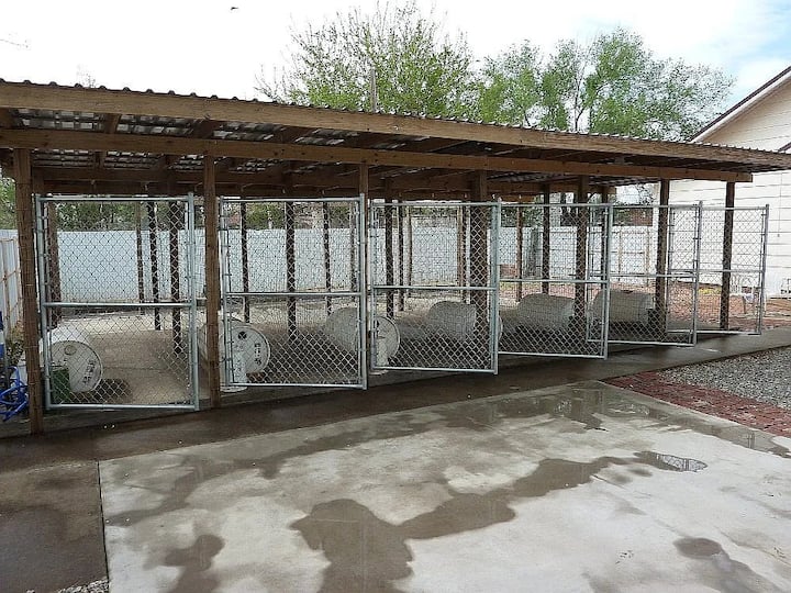 Bird Dog Paradise!
Paducah, Texas Quail Camp - Paducah, TX