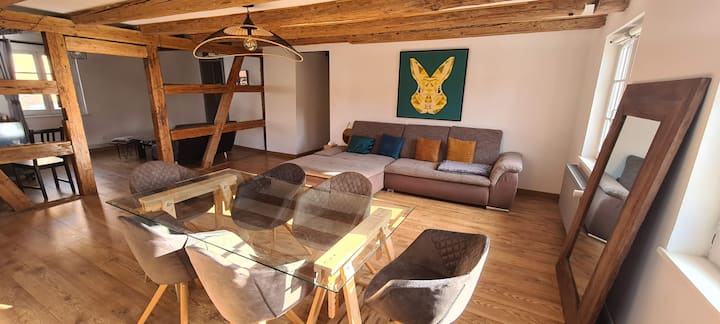 100m2 Avec Salon 40m2 Parking Proche Strasbourg - Molsheim