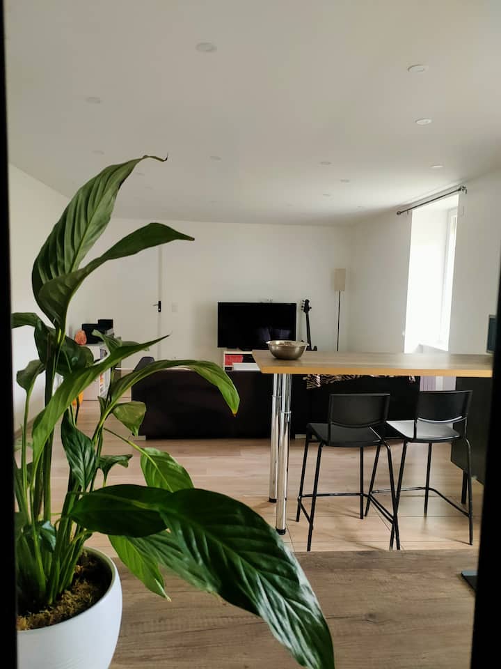 Magnifique Appartement à Morteau - Villers-le-Lac